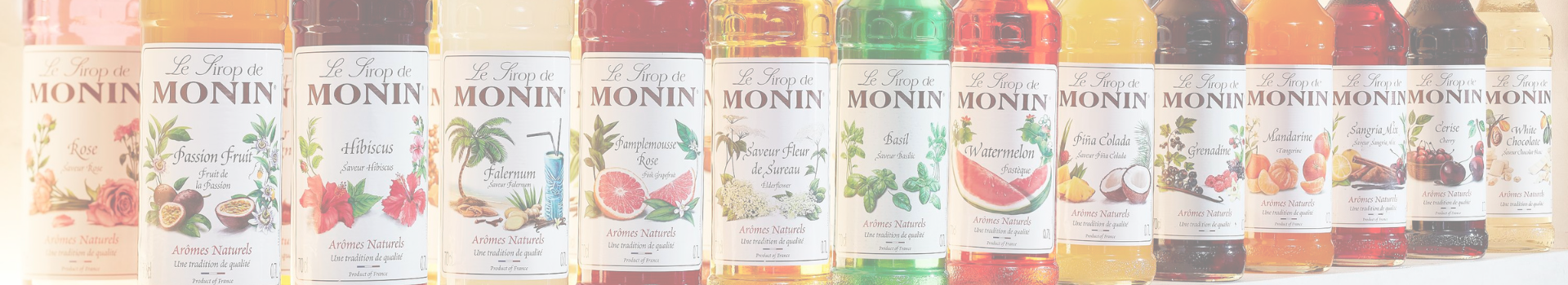 MONIN – Food Solutions Limited