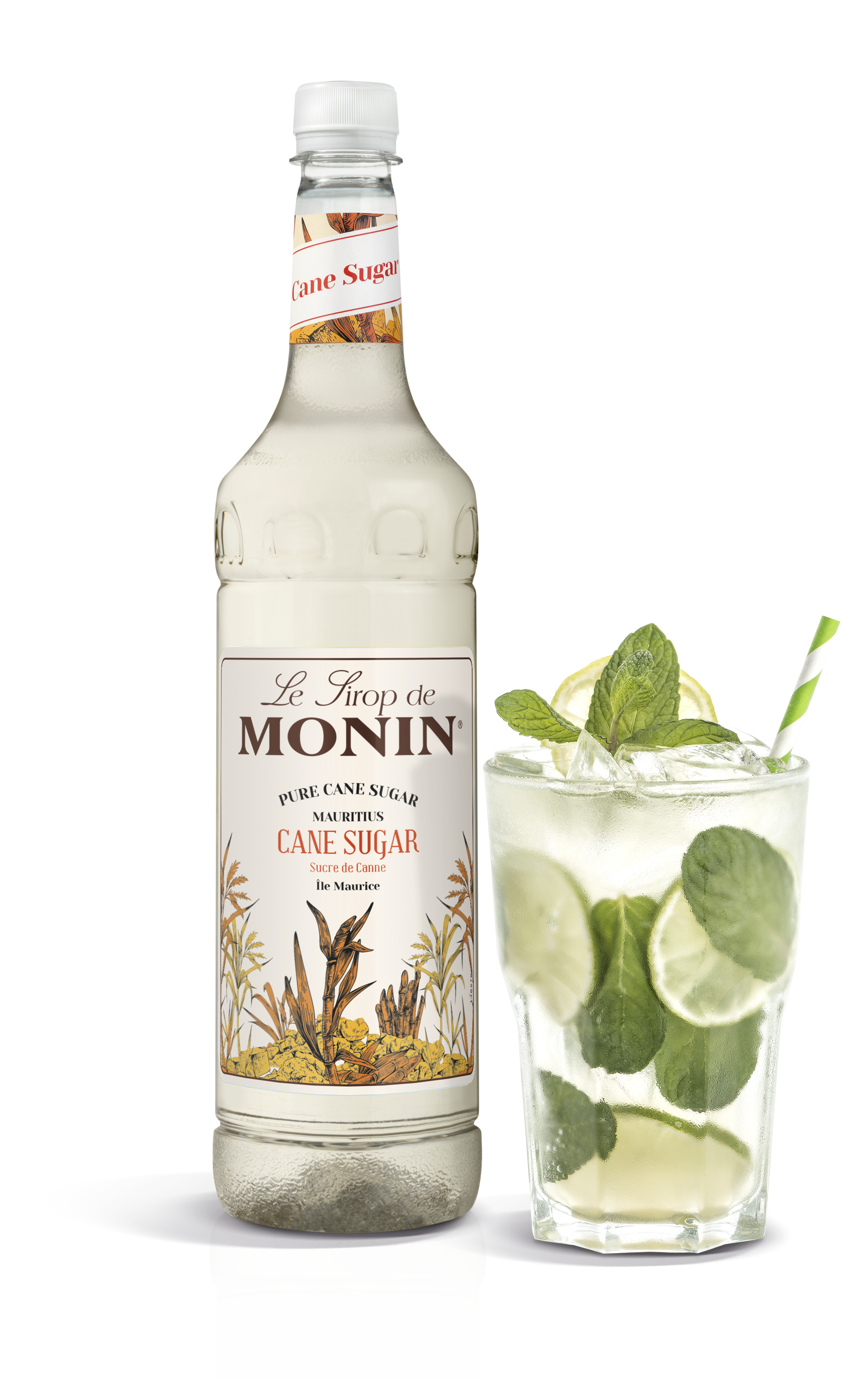 MONIN Pure Cane Sugar Syrup 1L – Food Solutions Limited